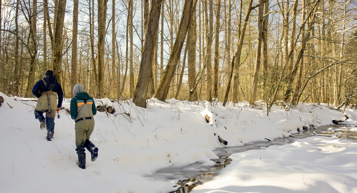 Fly Fishing Through the Late Winter and Into Early Spring | Davidson ...