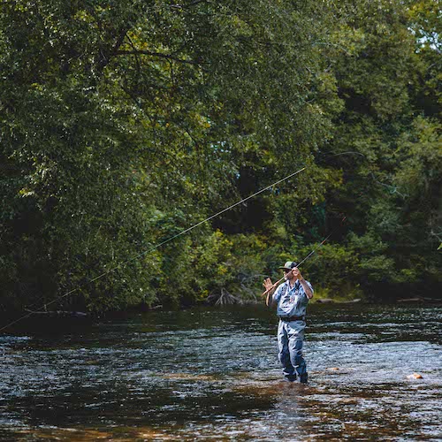 Guided Driftless Fly Fishing Trips | Davidson River Outfitters