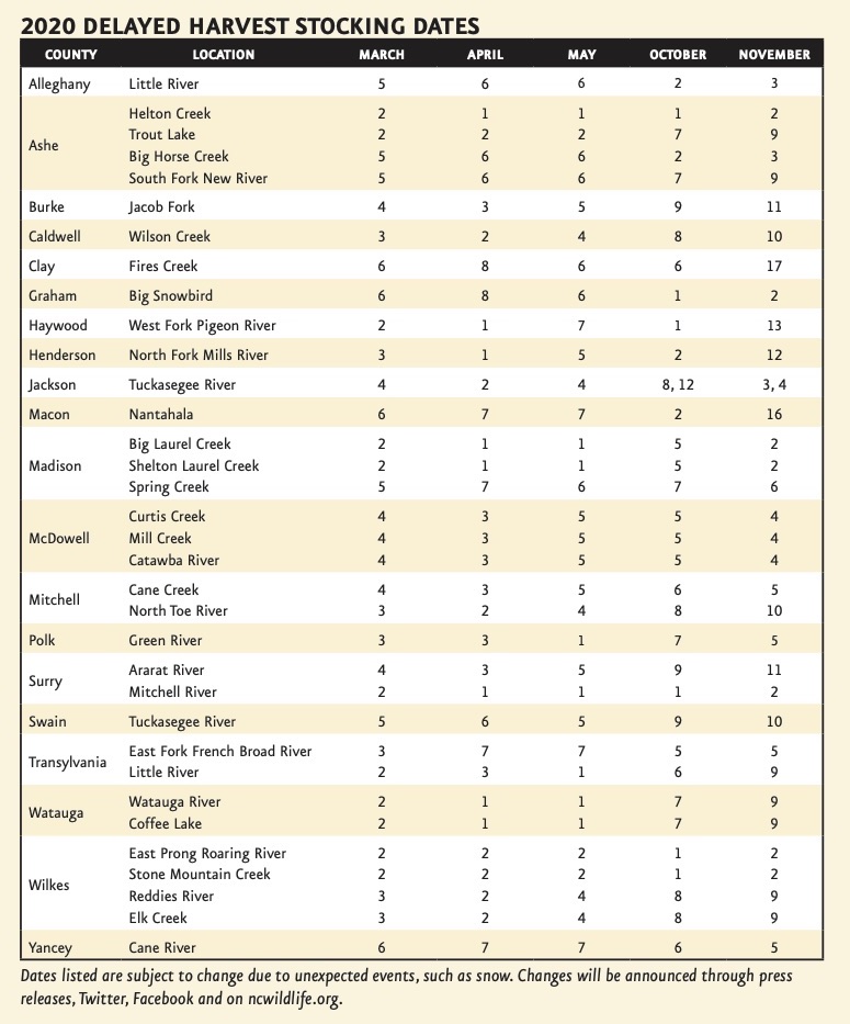 Western NC Fishing Stream Report | Davidson River Outfitters