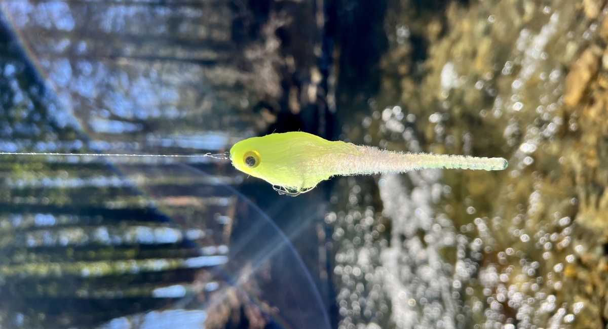 FLY TYING WITH CRAZY UNCLE JEB - Simple Extended Body Streamers - 1/18 ...