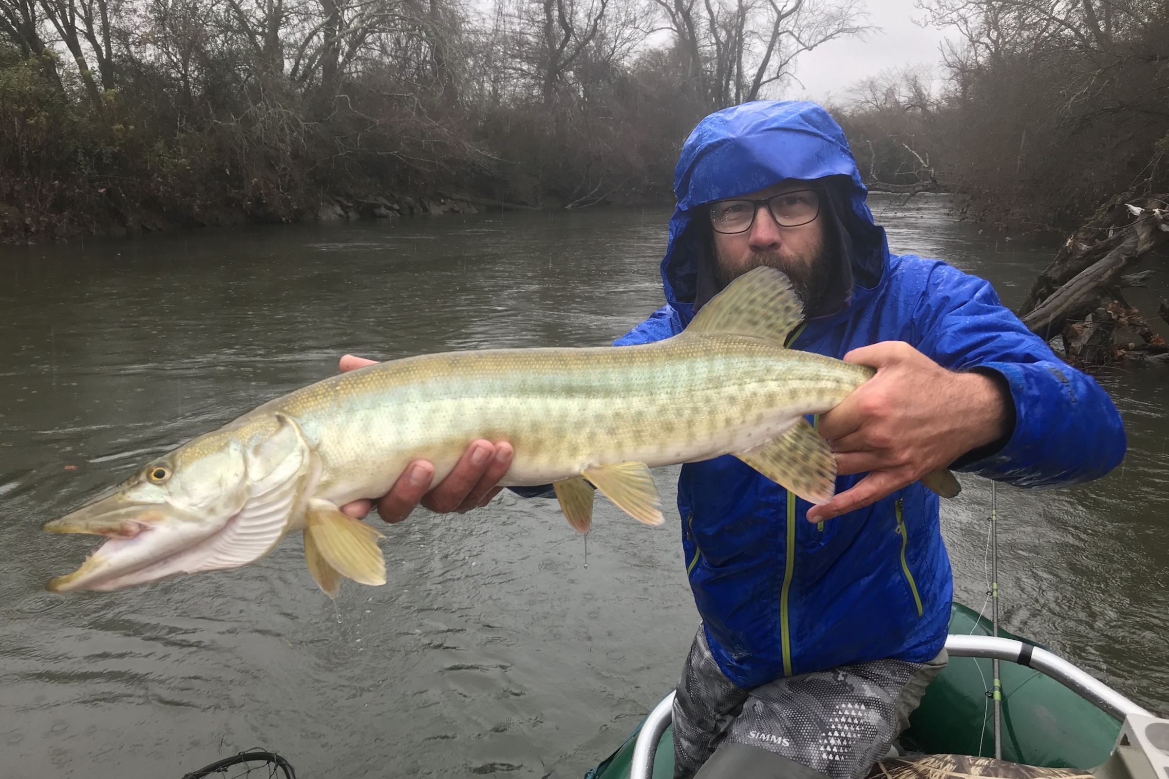 Guided Musky Fishing Trips | Davidson River Outfitters